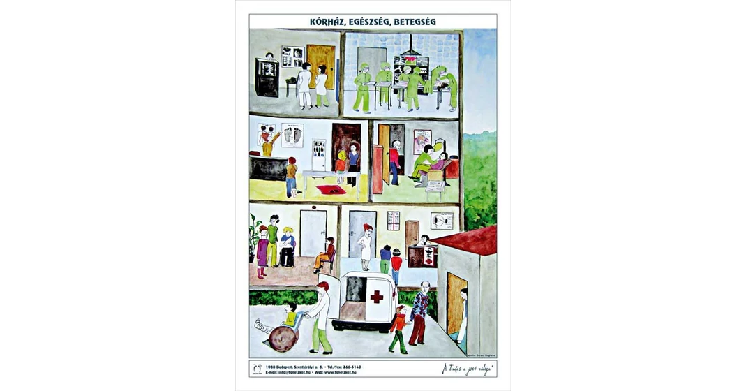Kórház, egészség, betegség 1 db 60x85 cm - Beszéd- és szókincsfejlesztő ...